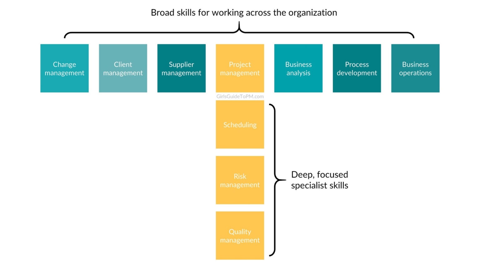 Make an impact as a T-Shaped project manager