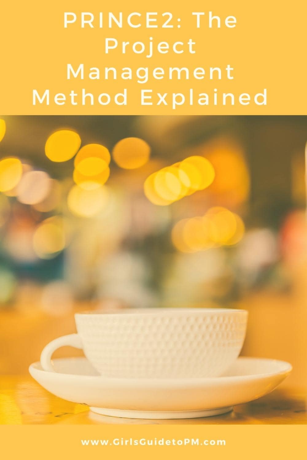 PRINCE2: The Project Management Method Explained