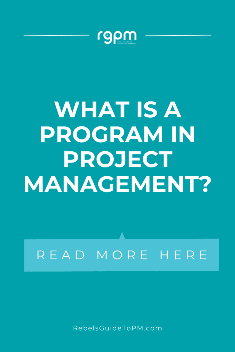 What Is A Program In Project Management 