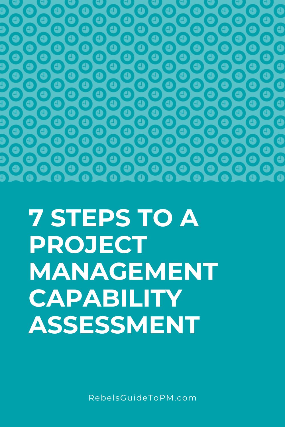 7 Steps To A Project Management Capability Assessment – Workplace ...