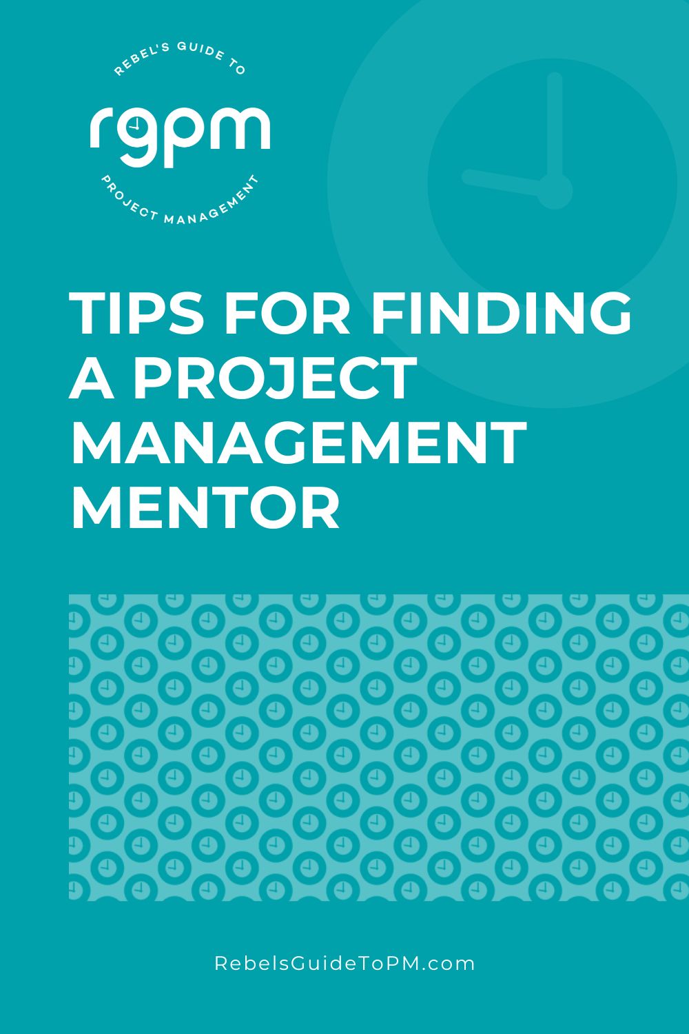 Do you want a project management mentor? Read these tips first ...